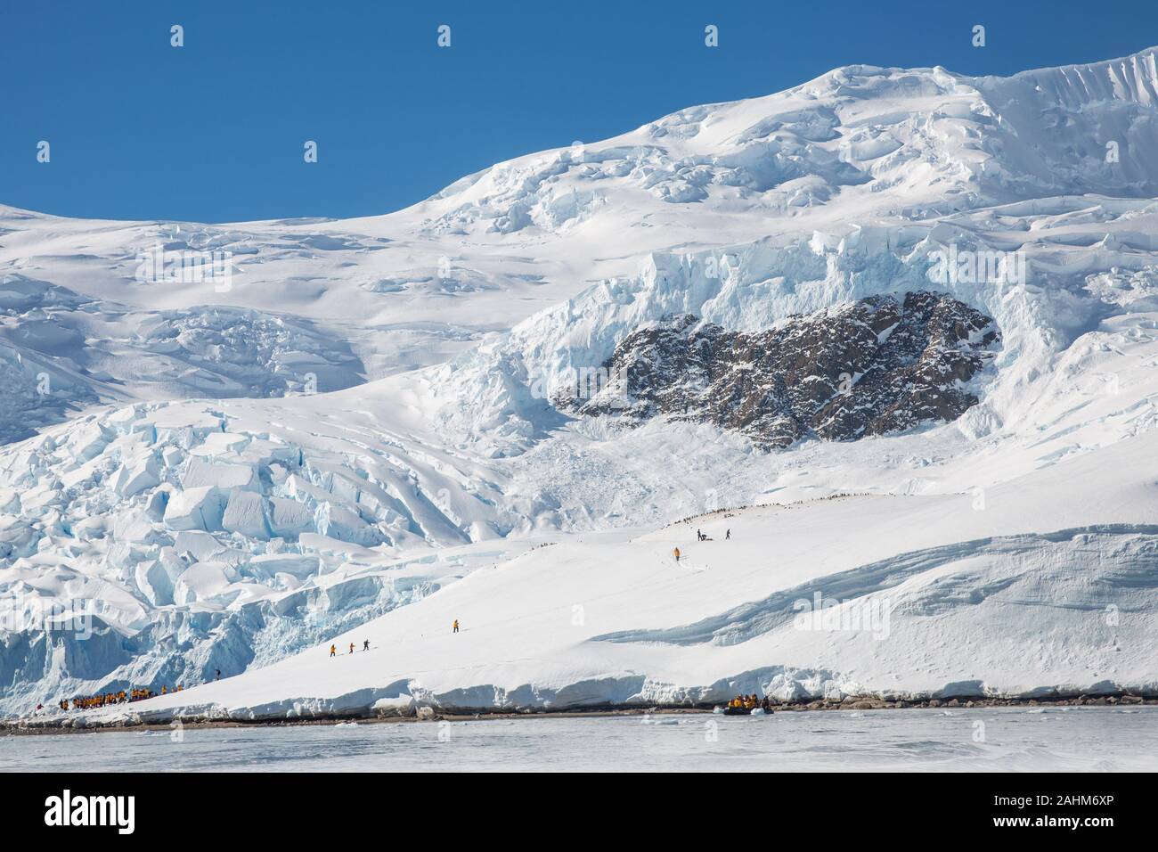 Antarctic neko harbour gentoo hi-res stock photography and images - Alamy