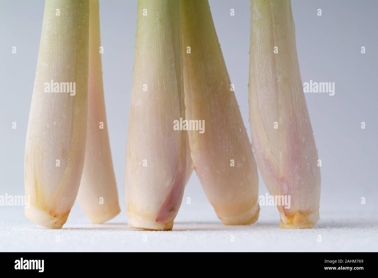 Lemon Grass. Fresh Lemon Grass on background Stock Photo - Alamy