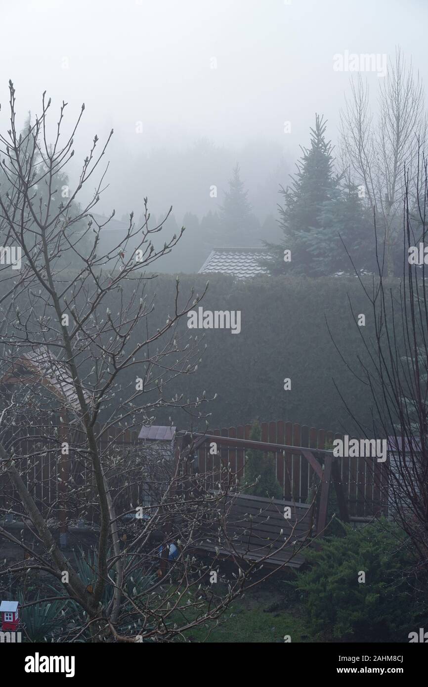 Misty morning garden hi-res stock photography and images - Alamy