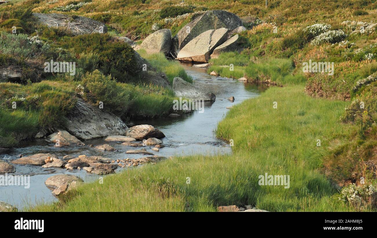 Perisher summer hi-res stock photography and images - Alamy