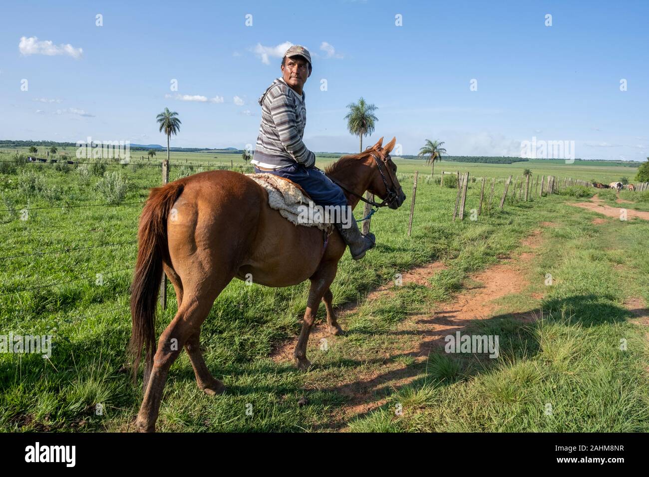 South american cowboy working on fence hi-res stock photography and ...