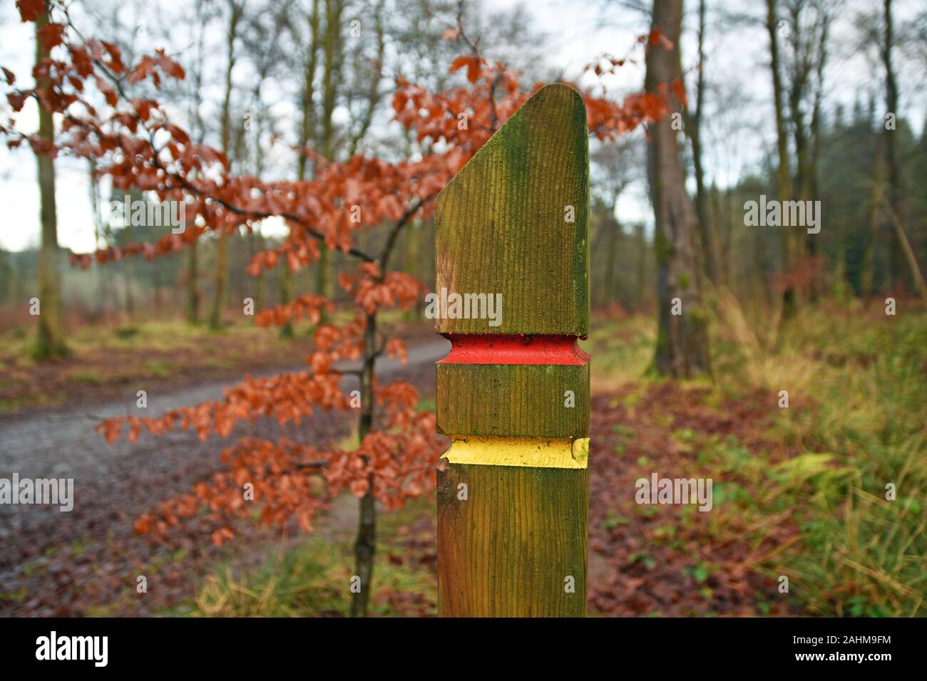 Wooden path waymarker with red and yellow paint indicating walking ...