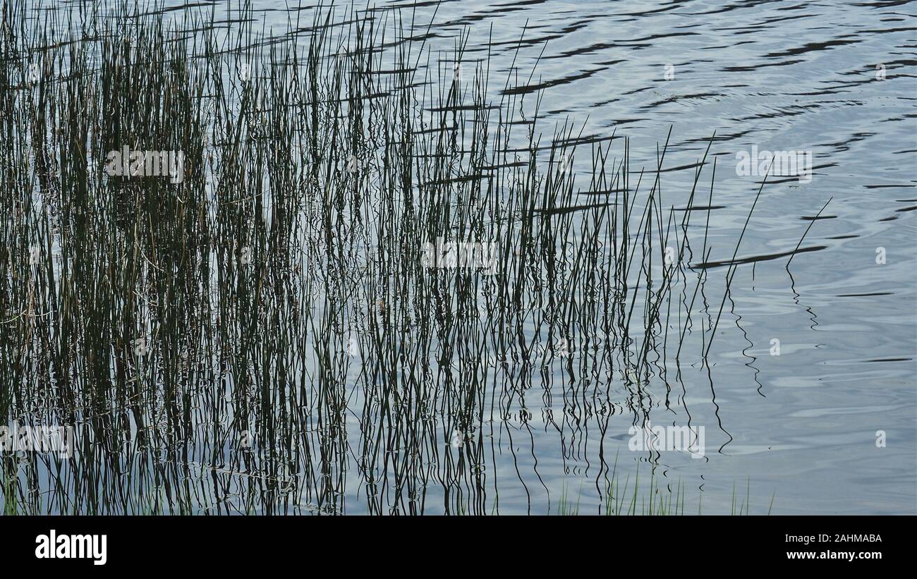 Summer in the australian alps hi-res stock photography and images - Alamy