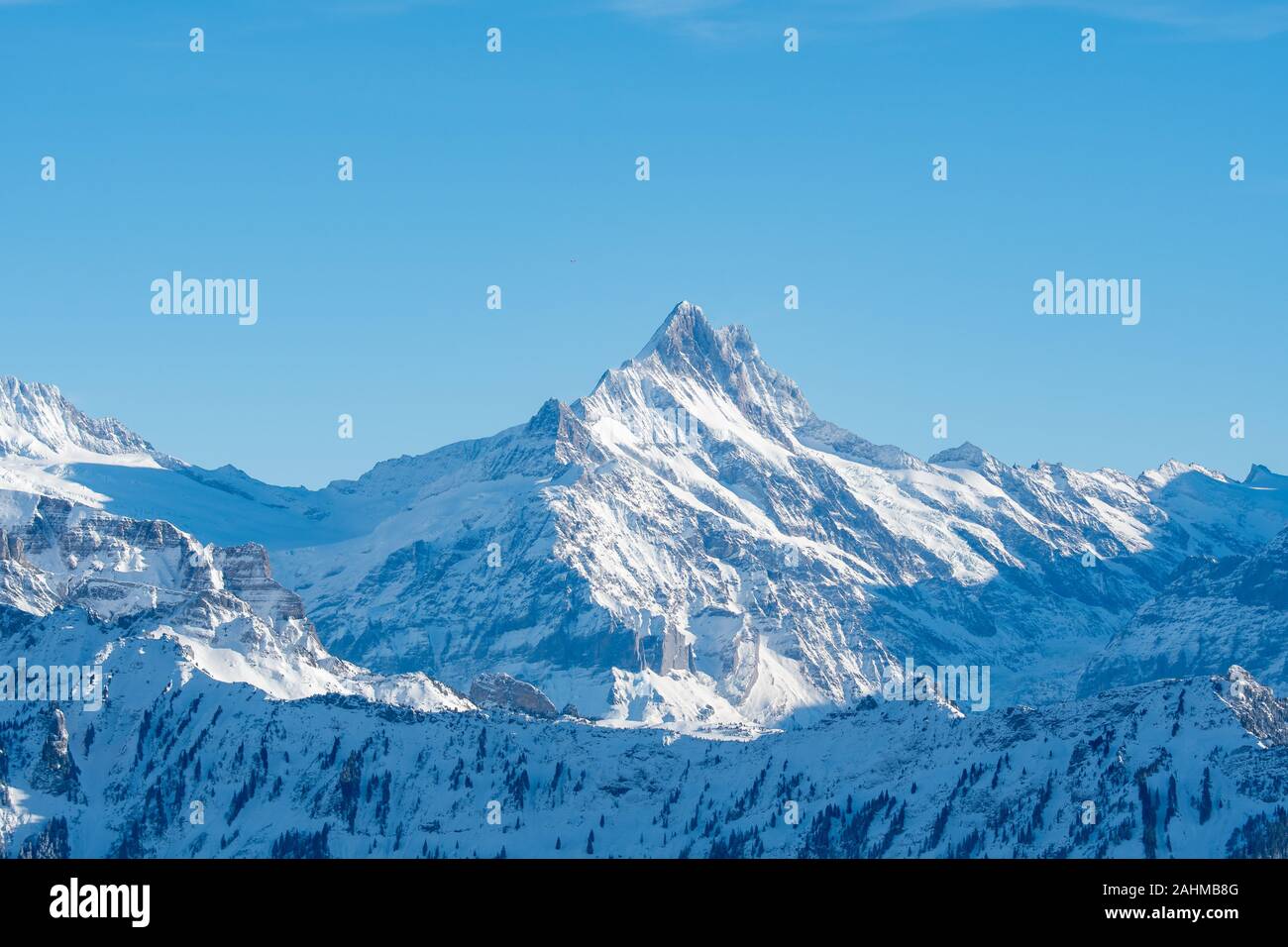 Schreckhorn High Resolution Stock Photography and Images - Alamy