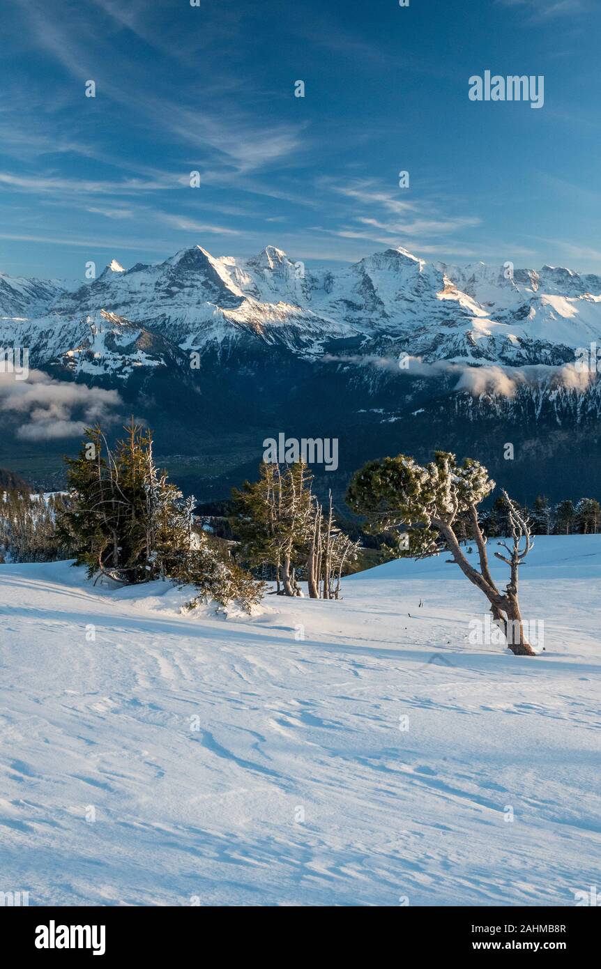 Berge eiger jungfrau schweizer alpen hi-res stock photography and ...
