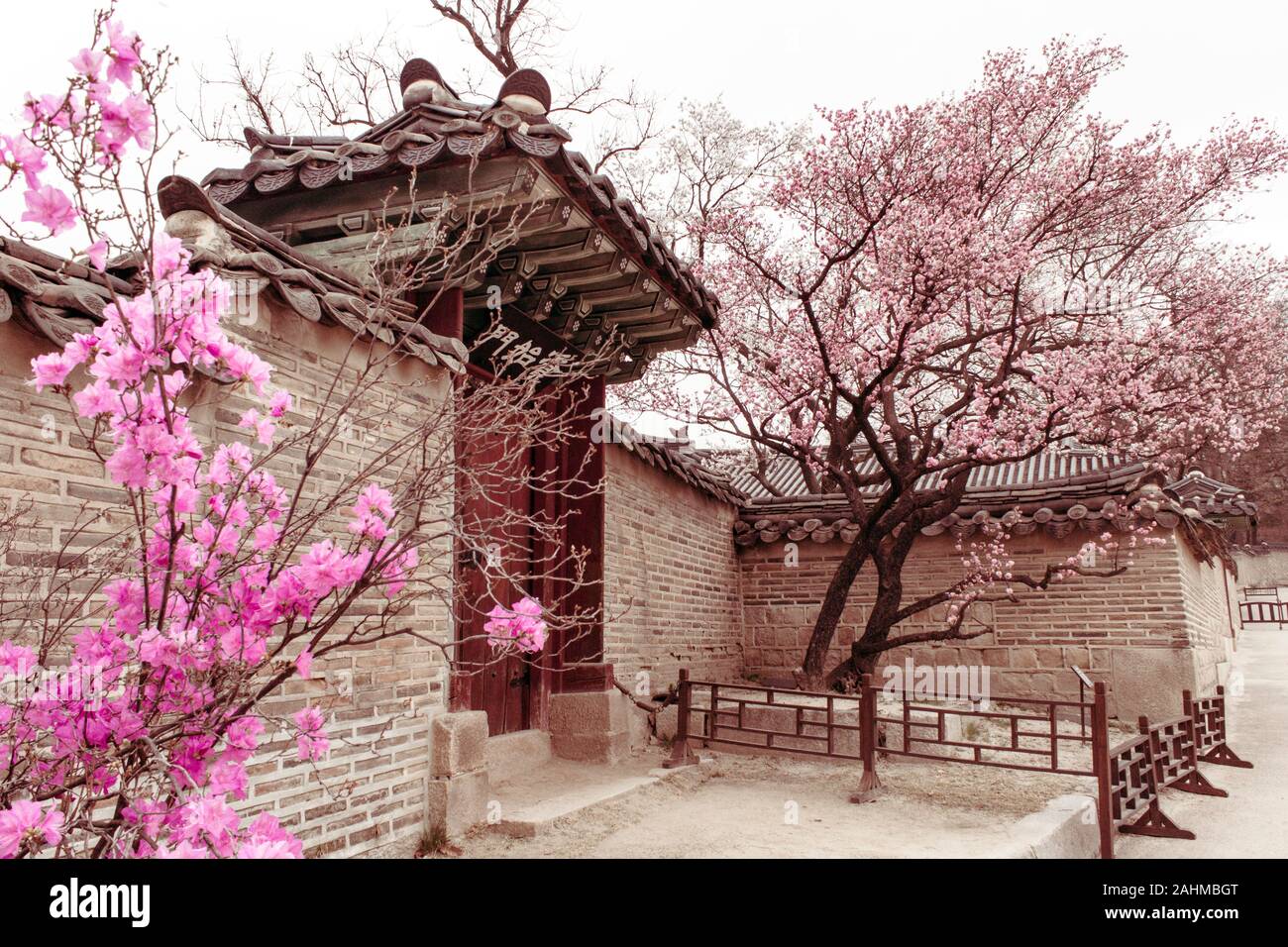 Seoul aesthetic hi-res stock photography and images - Alamy