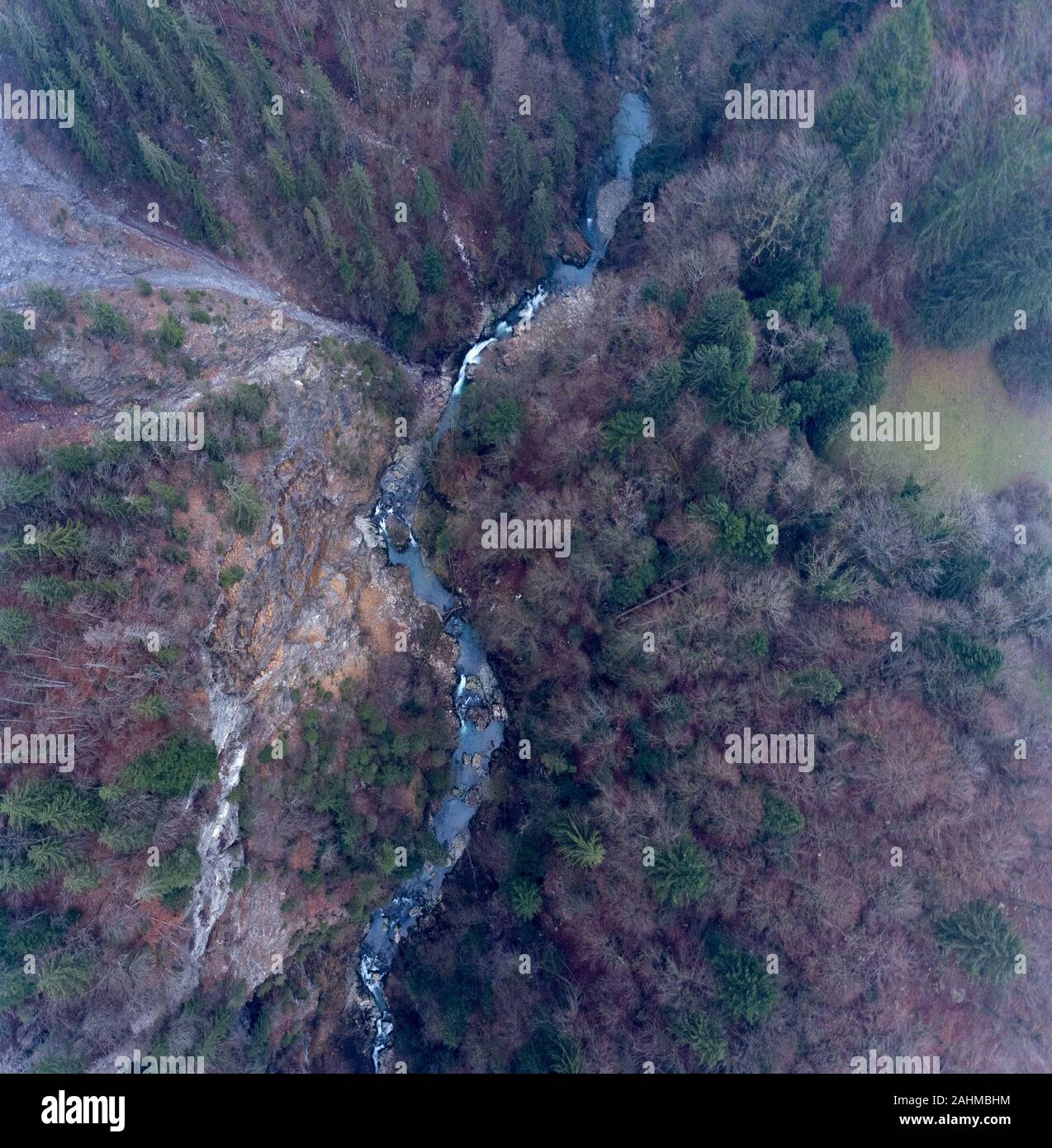 Top down forest hi-res stock photography and images - Alamy