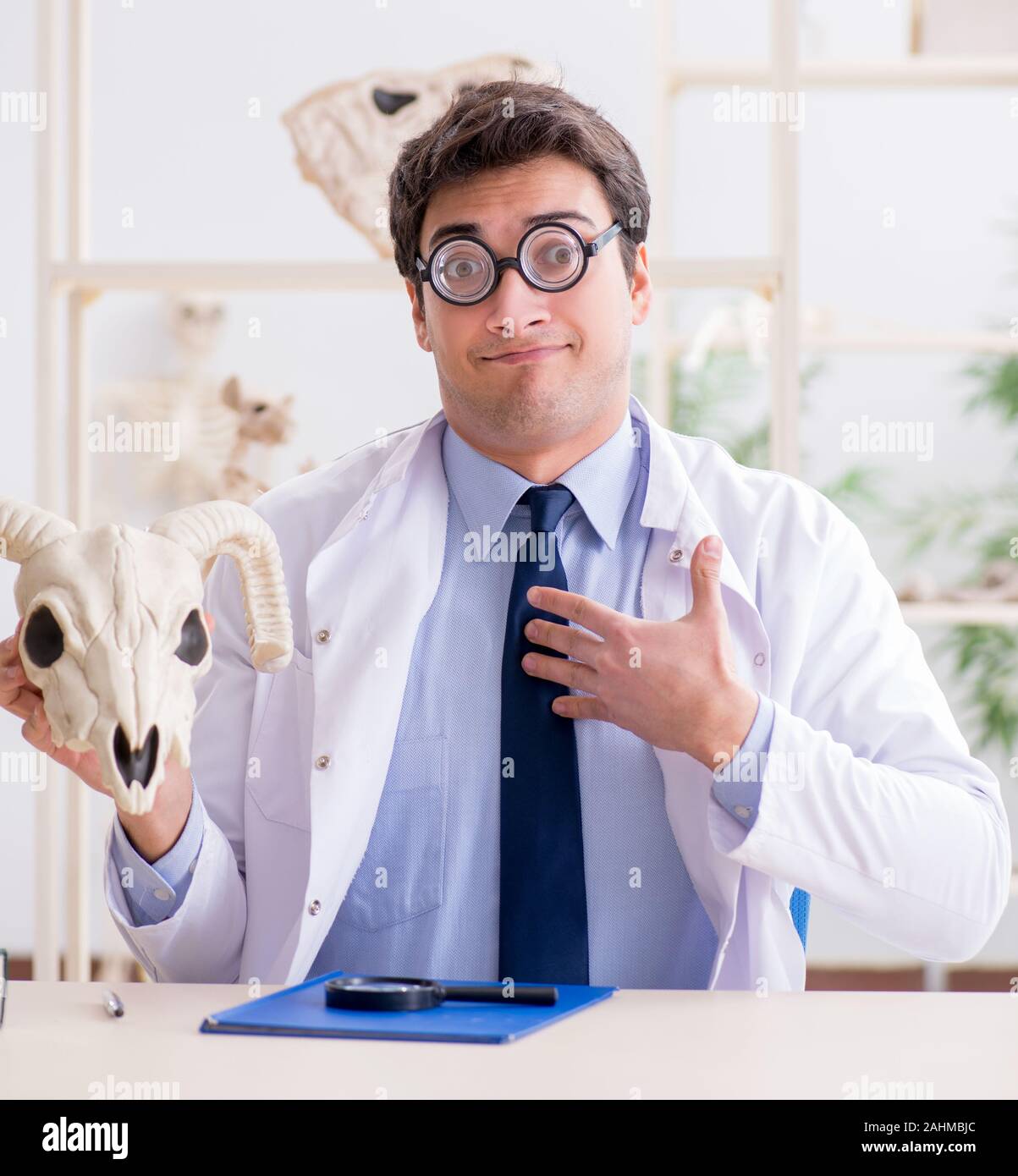 Funny crazy professor studying hi-res stock photography and images - Alamy