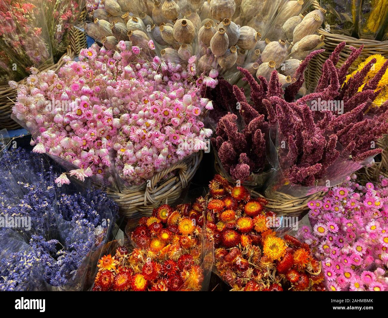 Flower Market in Amsterdam. It is the only floating flower market in ...