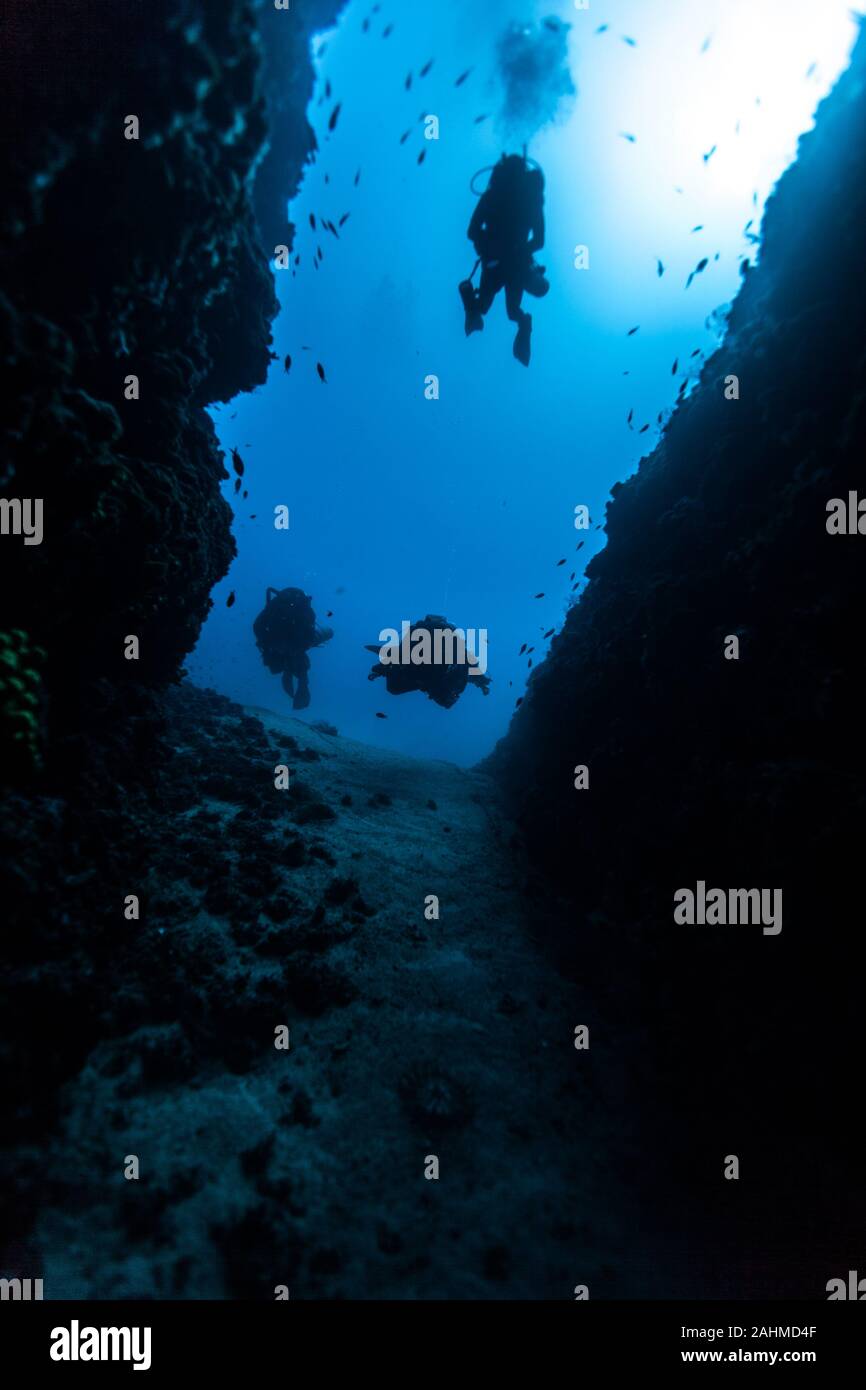Divers in a deep Canyon Stock Photo - Alamy