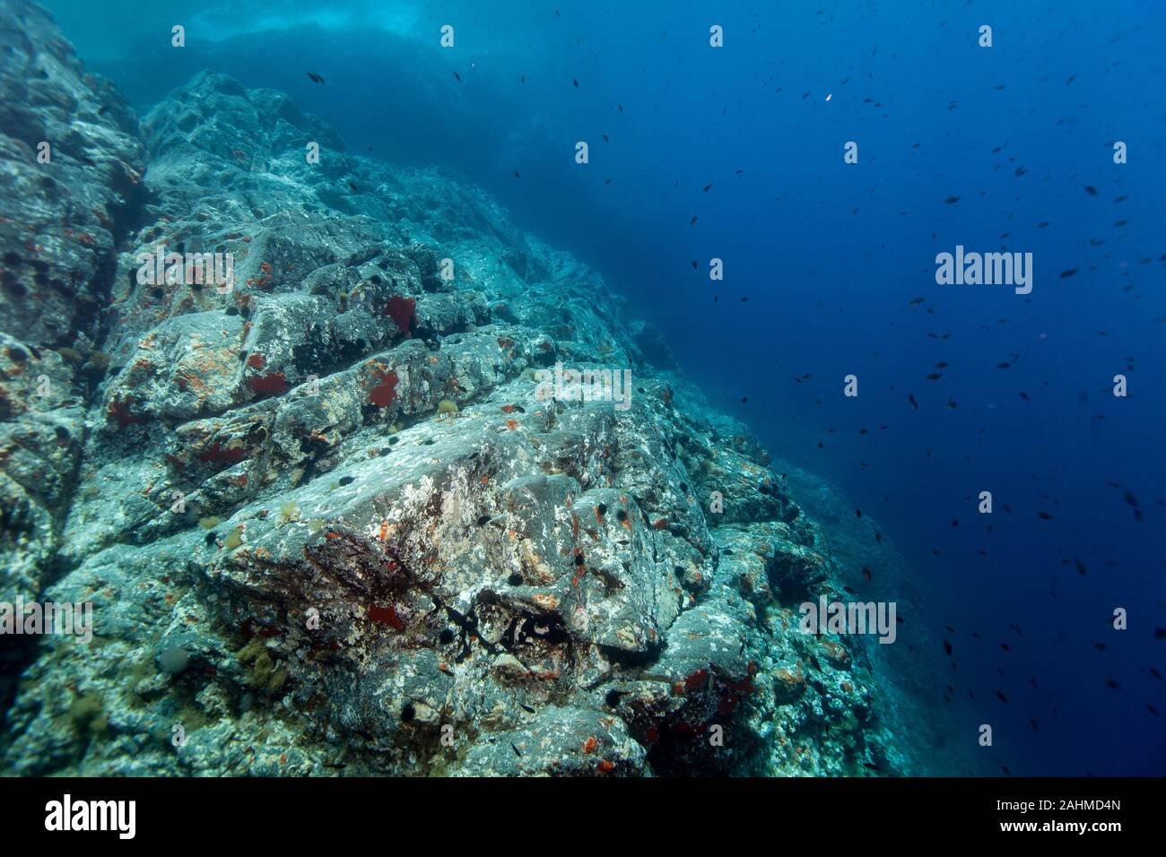 Underwater Cliff Croatia Stock Photo - Alamy