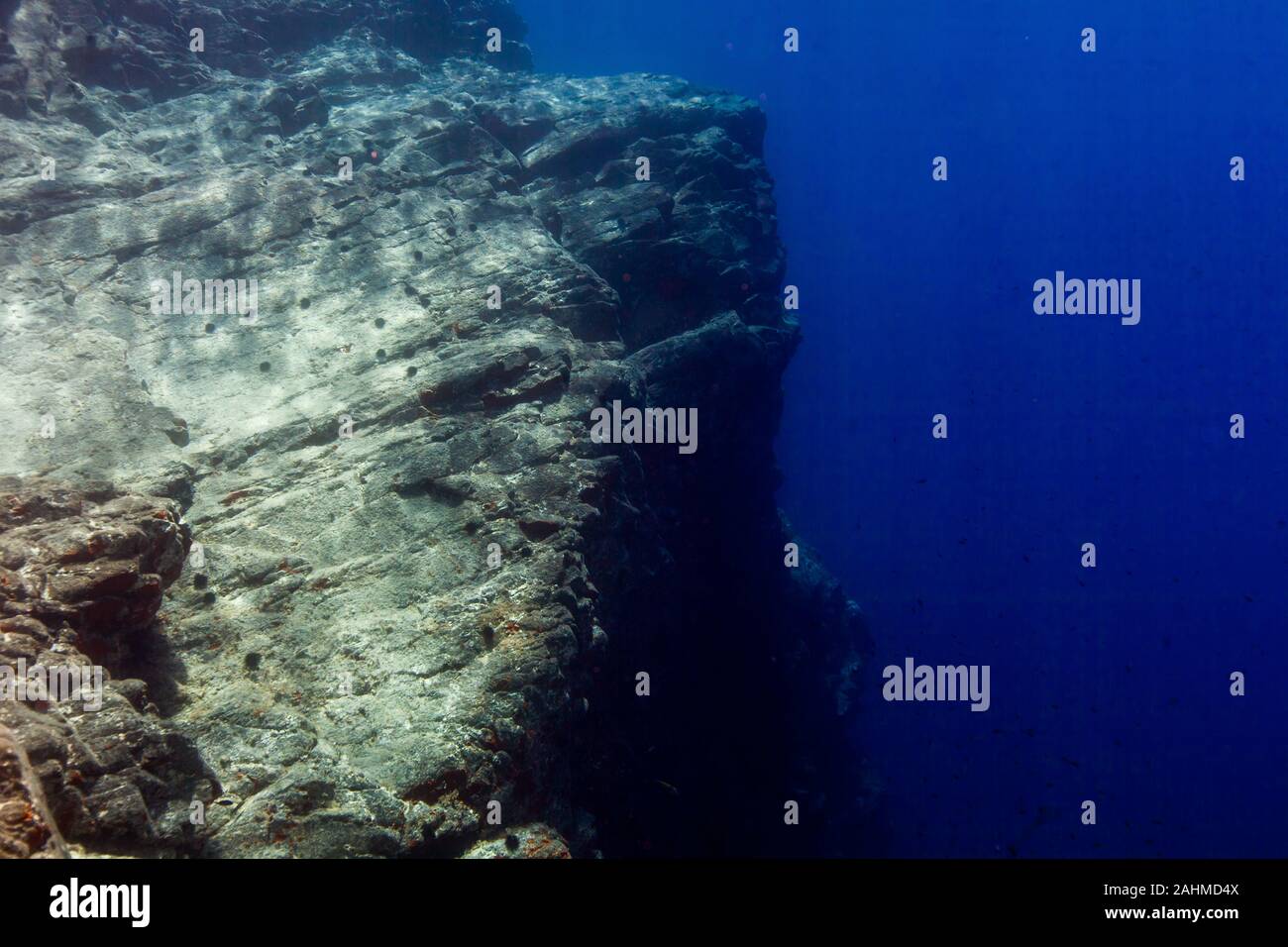 Underwater Cliff Croatia Stock Photo - Alamy