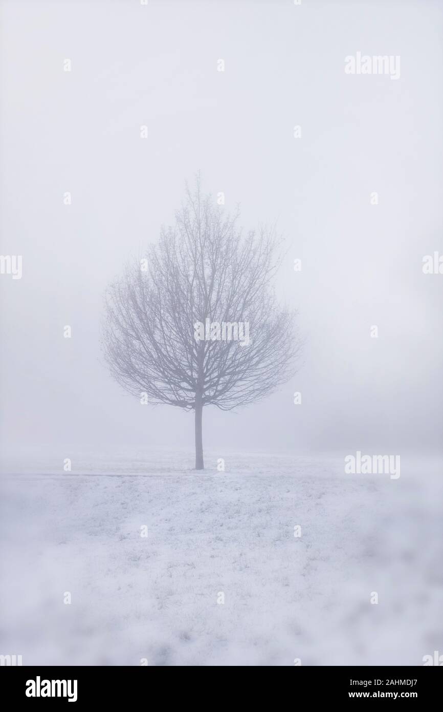 Misty snow hi-res stock photography and images - Alamy