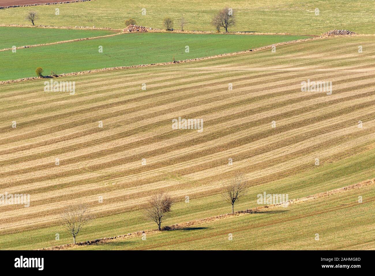 Stubble fields with patterns in a rural landscape Stock Photo - Alamy