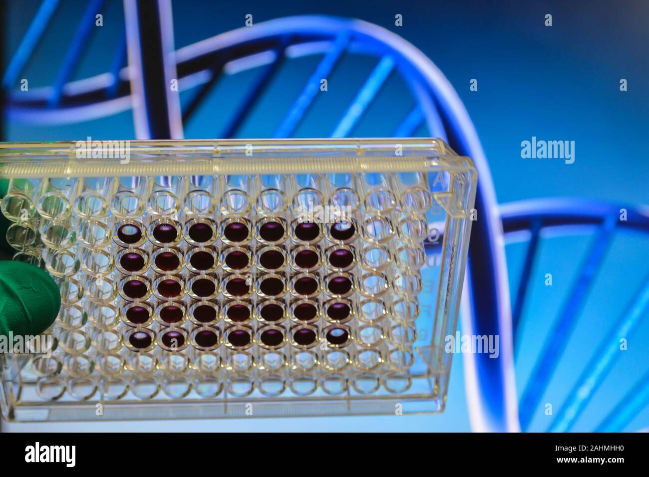 Research methods hi-res stock photography and images - Alamy