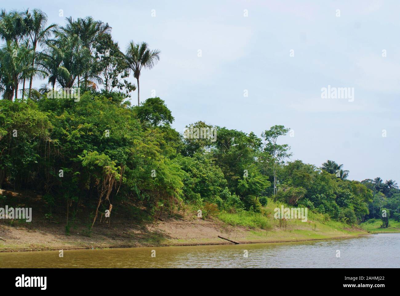 Amazonas in Brazil Stock Photo - Alamy