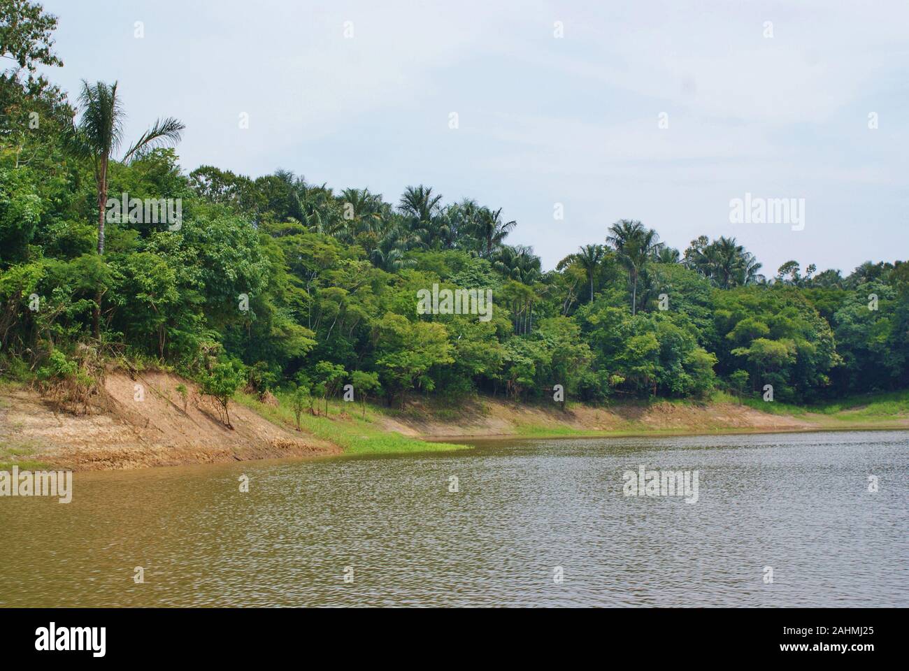 Amazonas in Brazil Stock Photo - Alamy