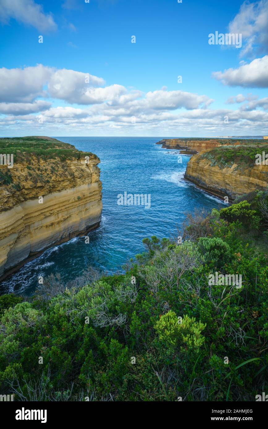 famous mutton bird island, great ocean road in victoria, australia ...