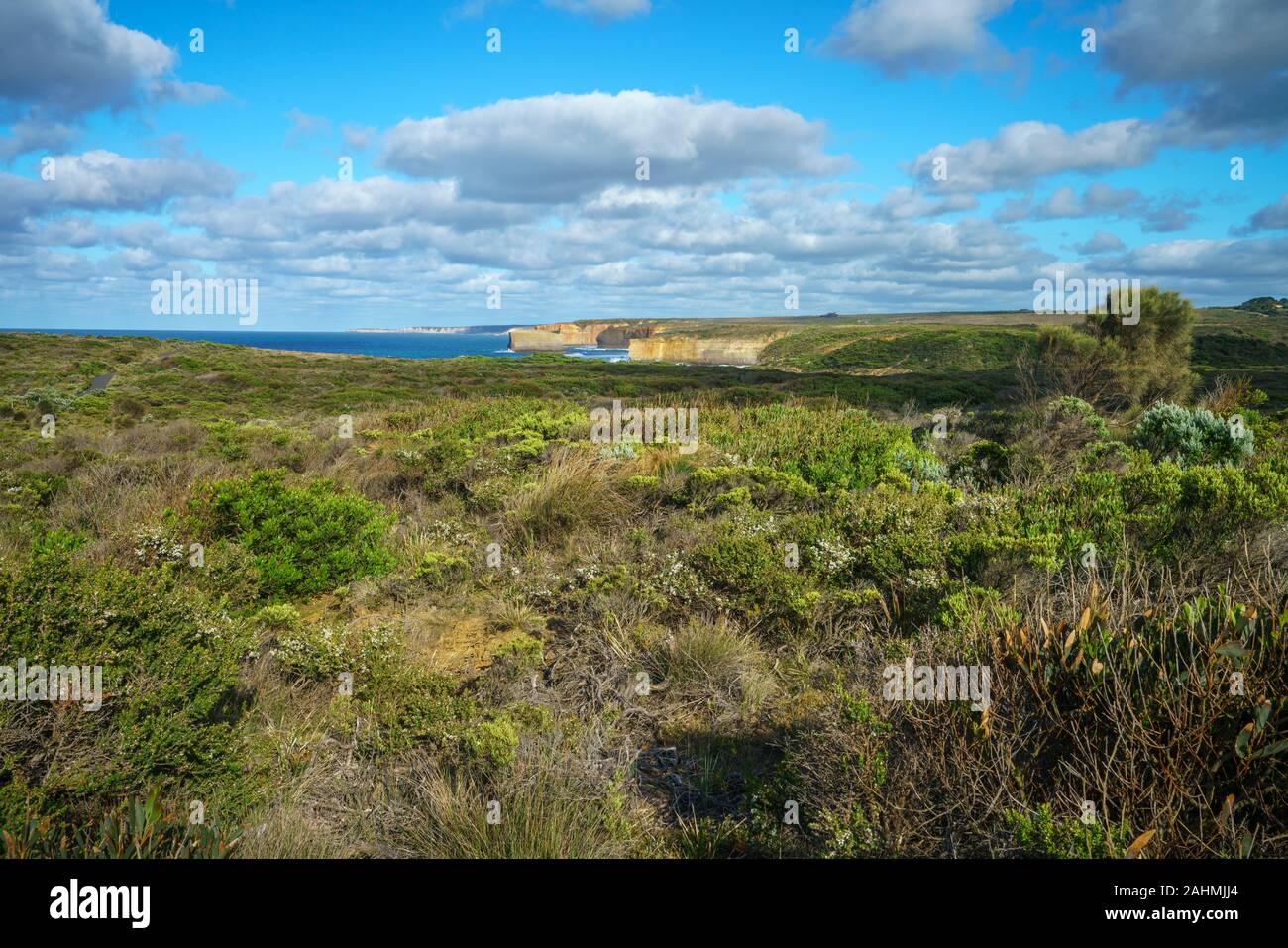 Mutton bird lookout hi-res stock photography and images - Alamy