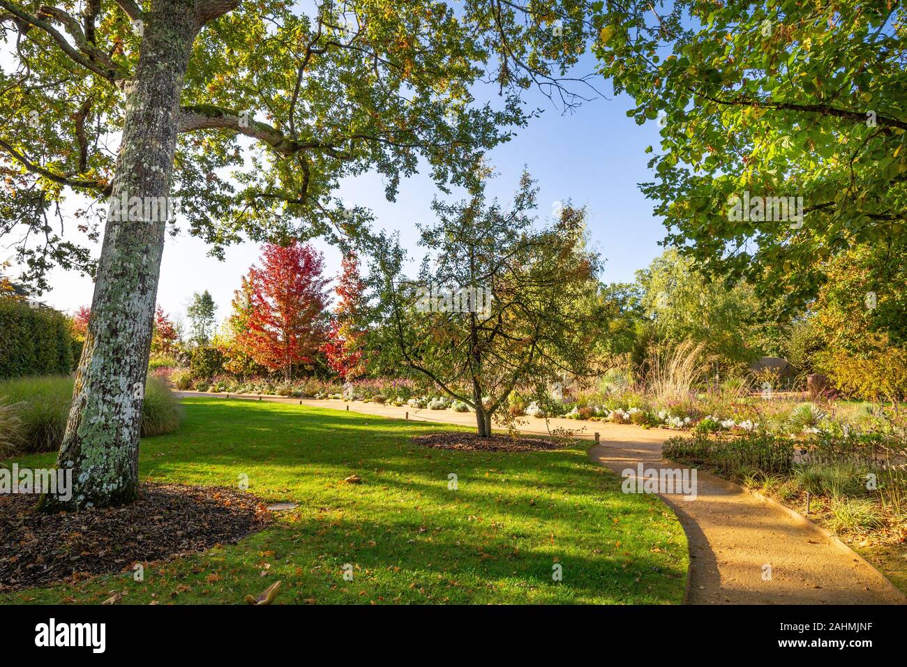 Garden or park design with colorful trees in autumn colors and a small ...