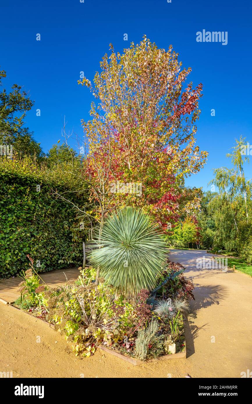 Ash design hi-res stock photography and images - Alamy