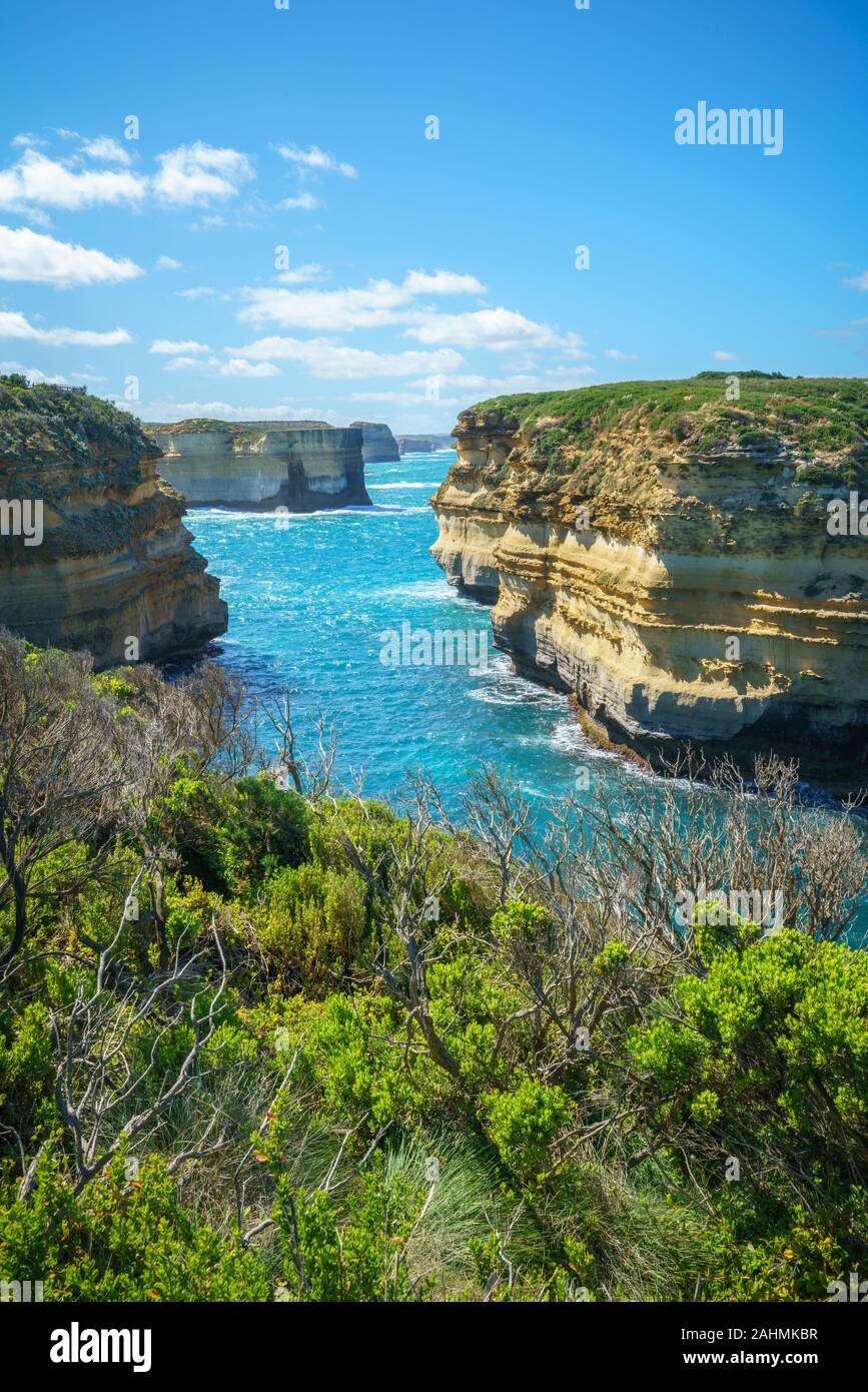 famous mutton bird island, great ocean road in victoria, australia ...
