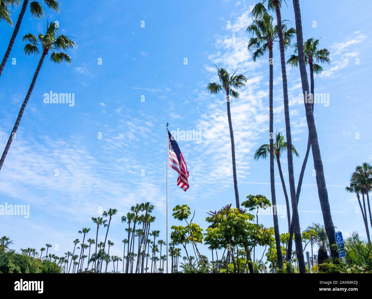 San Diego, southern California, USA: US Stars & Stripes flag in a grove ...