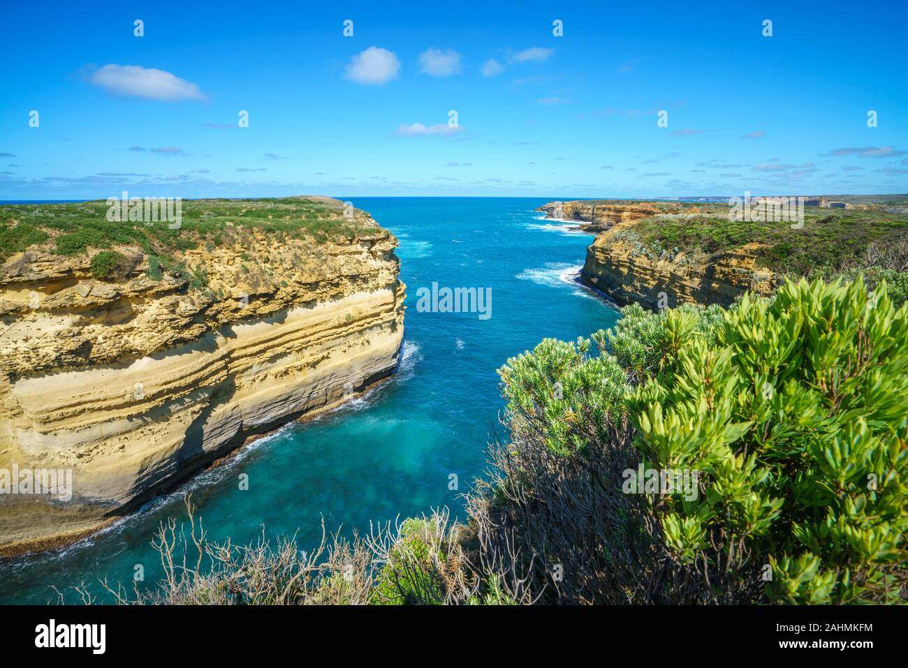 famous mutton bird island, great ocean road in victoria, australia ...