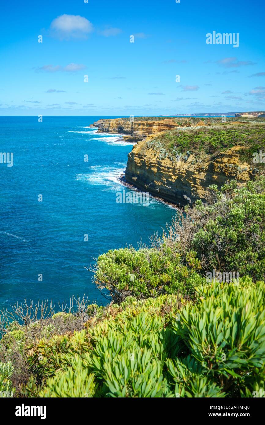famous mutton bird island, great ocean road in victoria, australia ...