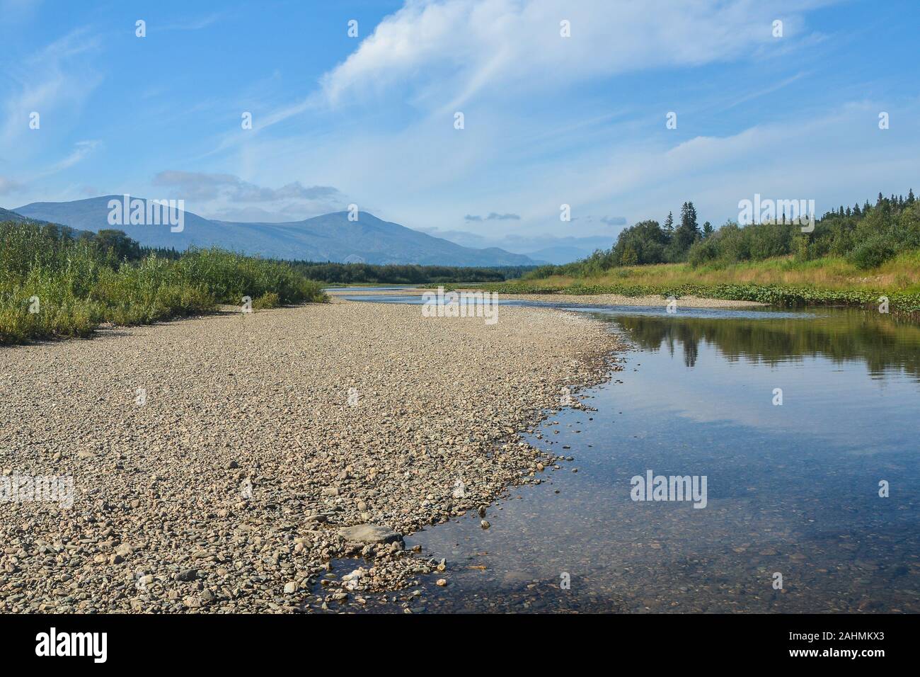 Summer river taiga landscape. The Shchugor River flows through the ...