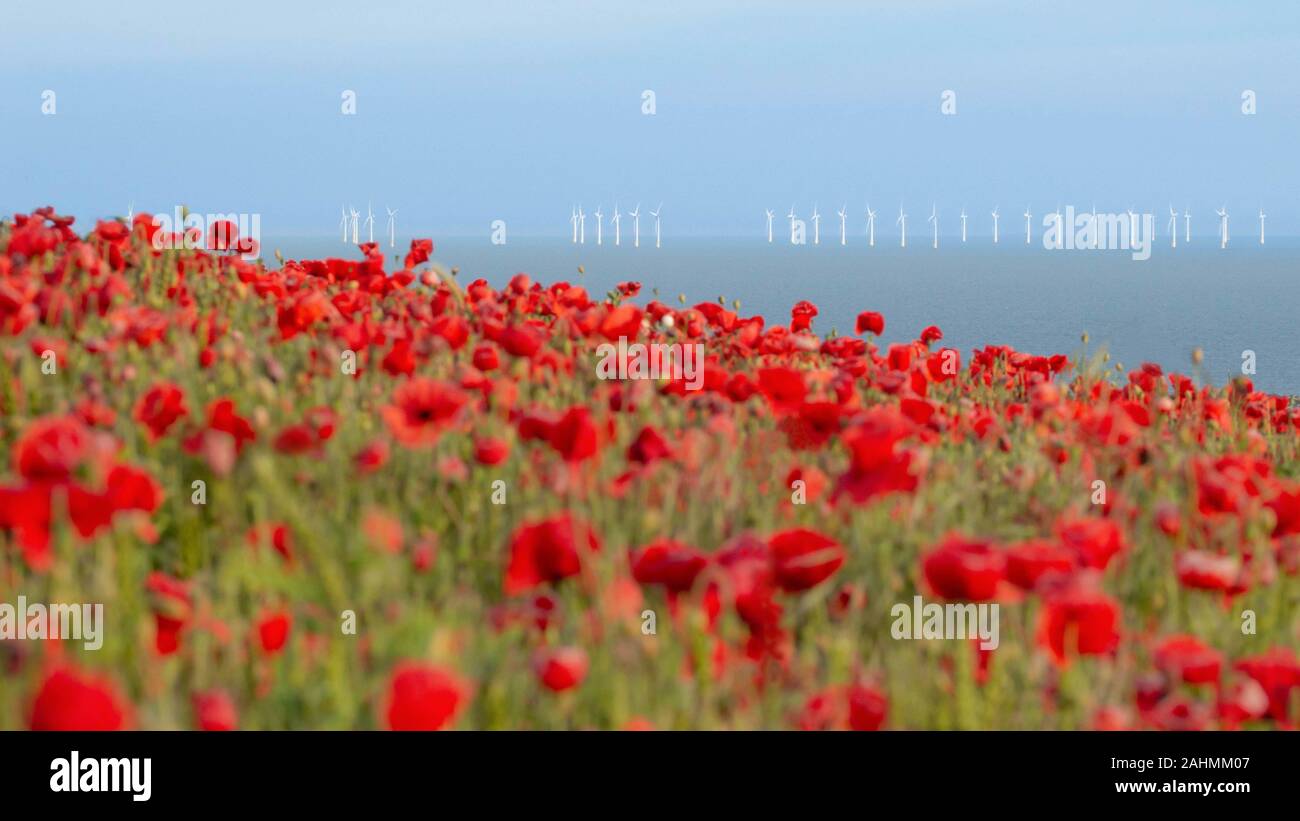 Lancing sussex hi-res stock photography and images - Alamy