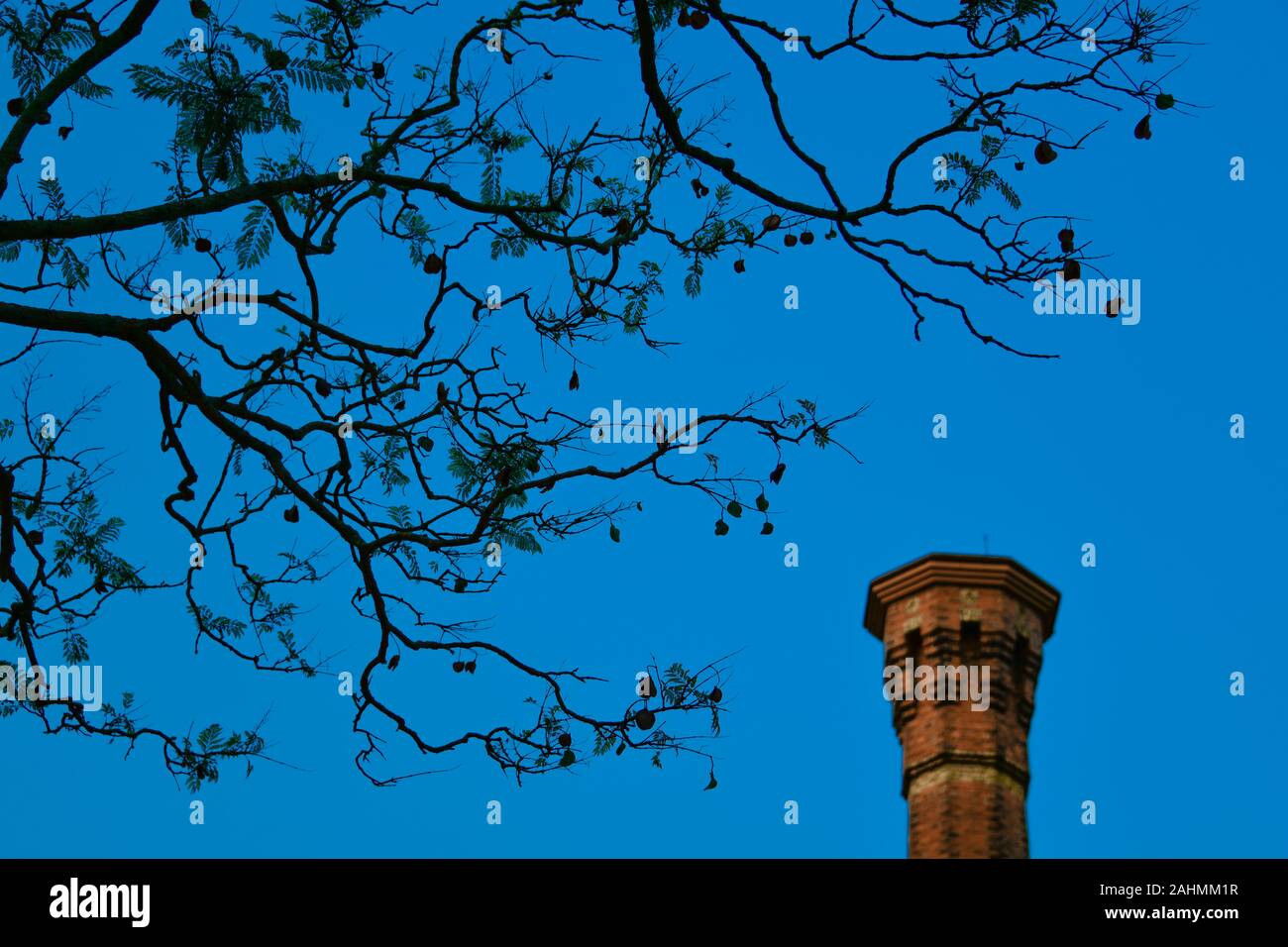 Ruins of Abandoned former Victorian Era Industrial Site, Walka Water ...