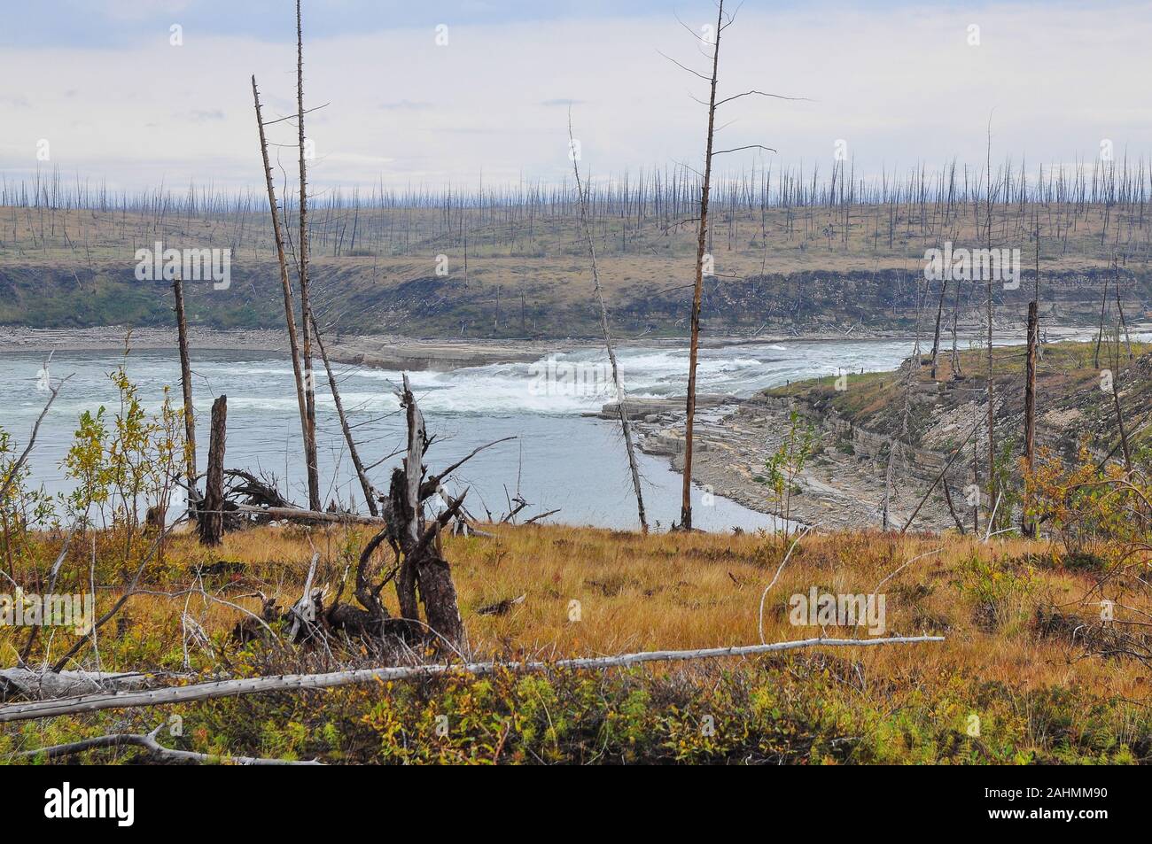 Dead Forest, killed by the Norilsk Nickel Plant. South east of Norilsk ...