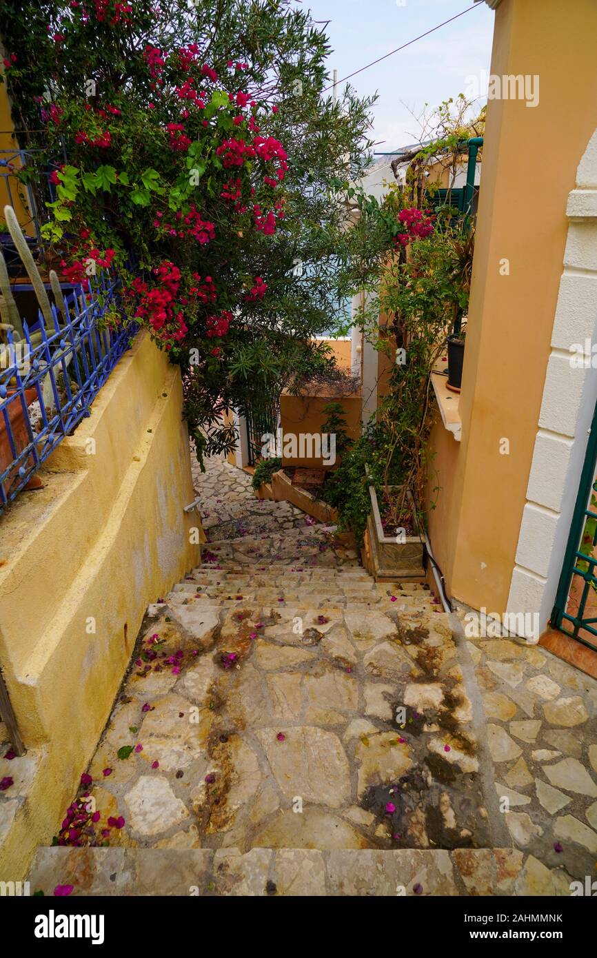 Asos is a village on the west coast of the island of Cephalonia, Greece ...