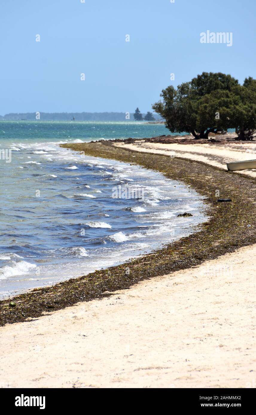 Beach in Ifaty region South Madagascar Stock Photo - Alamy