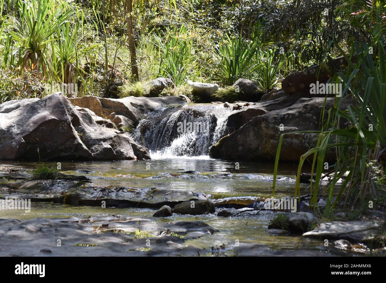 Waterfall in a rain forest on Madagascar Stock Photo - Alamy