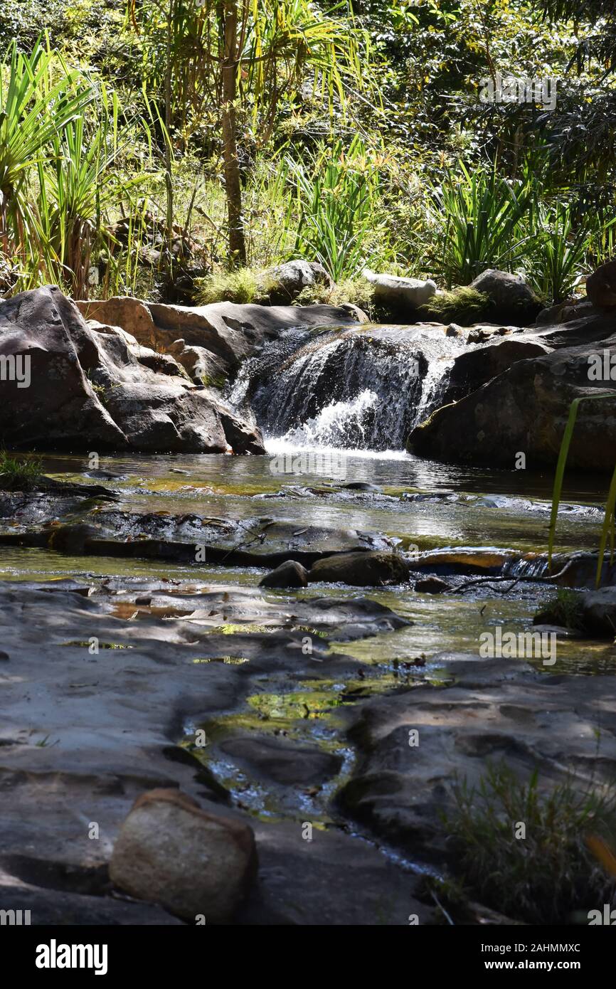 Madagascar rainforest landscape hi-res stock photography and images - Alamy