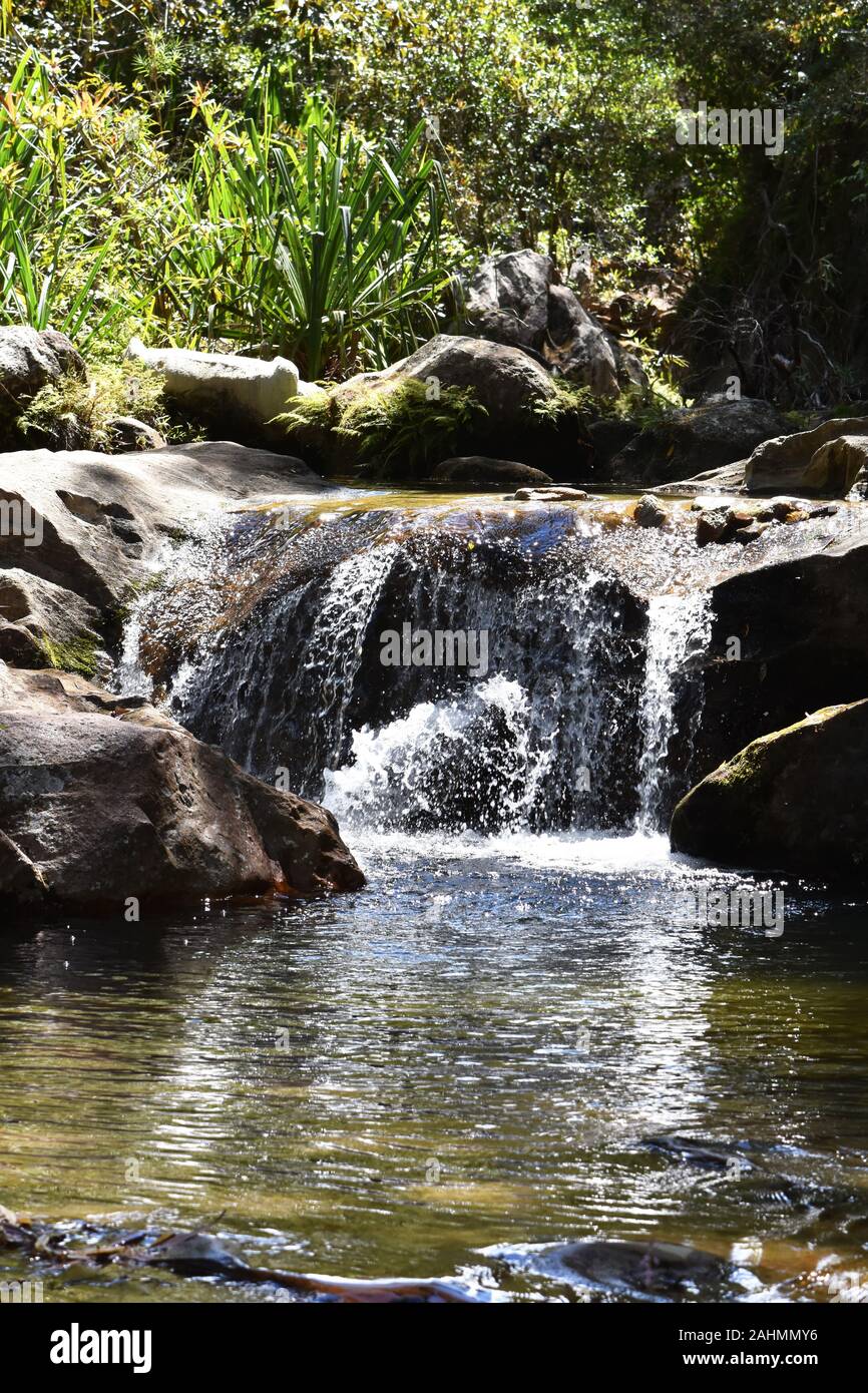 Waterfall in a rain forest on Madagascar Stock Photo - Alamy