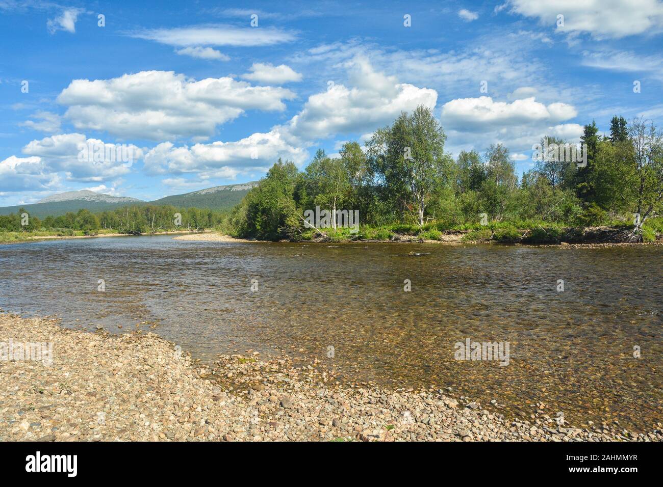 Summer river taiga landscape. The Shchugor River flows through the ...