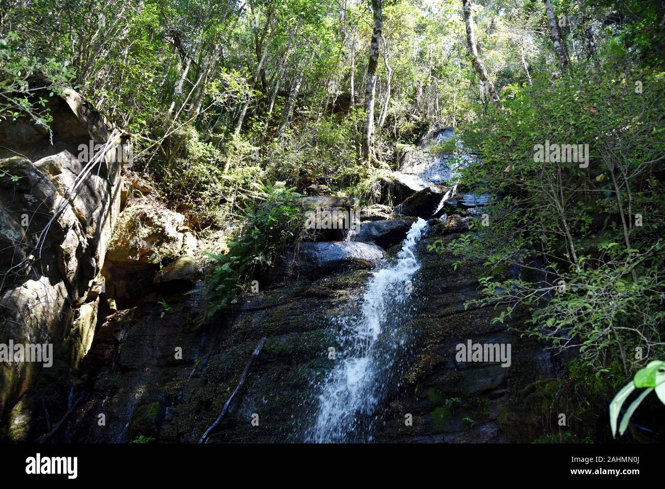 Waterfall in a rain forest on Madagascar Stock Photo - Alamy