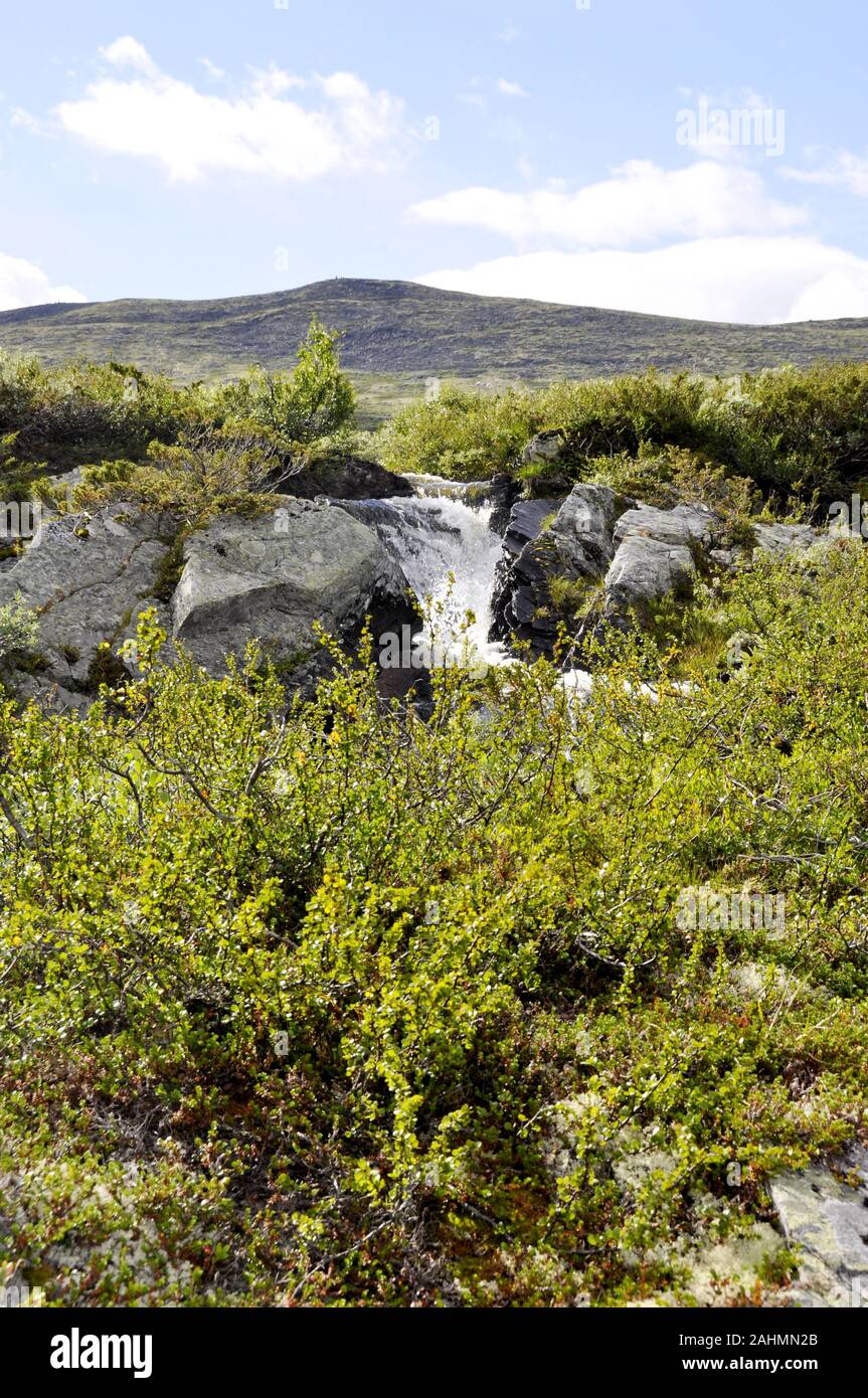 Norwegian mountain landscape with stream Stock Photo - Alamy