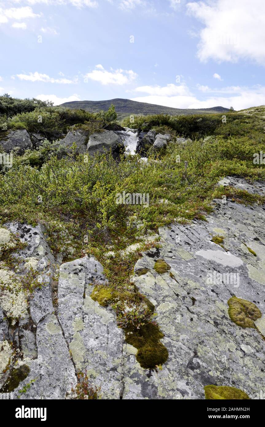 Norwegian mountain landscape with stream Stock Photo - Alamy