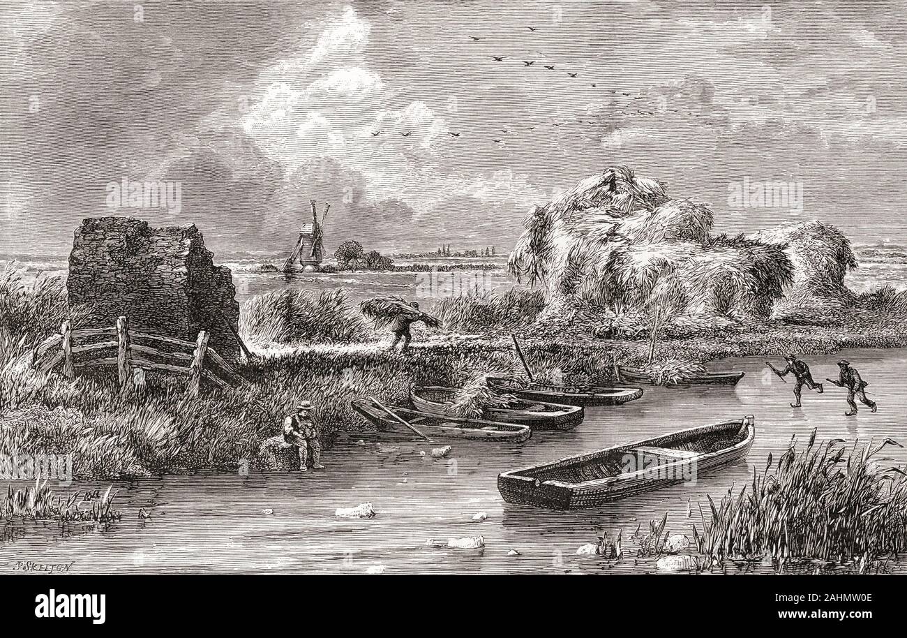 Holm Lode, The Fens, Huntingdonshire (now Cambridgeshire), England ...