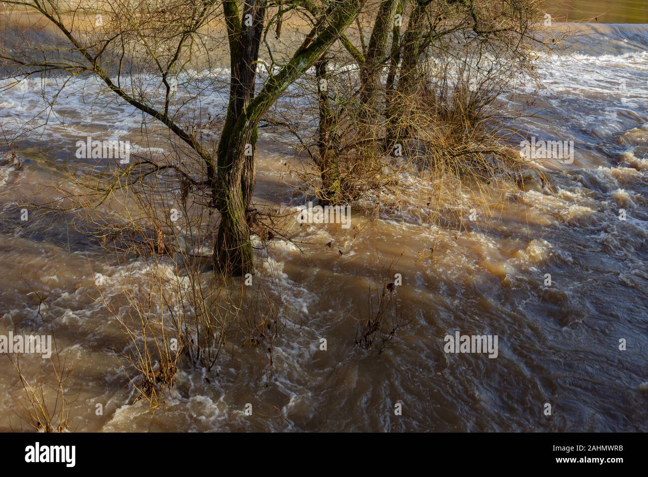 Trees standing in the water during a Flood Stock Photo - Alamy