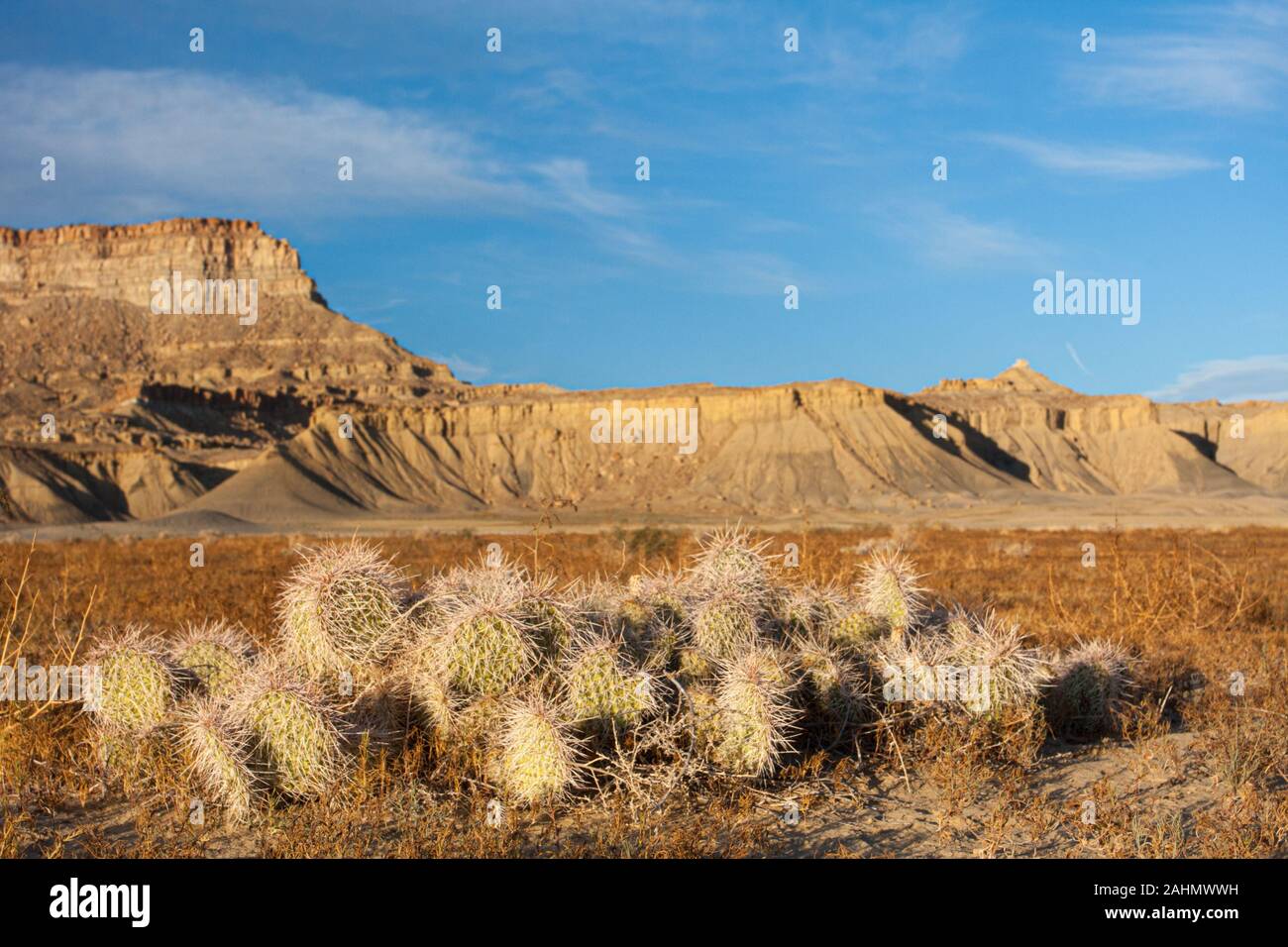 Hostile desert hi-res stock photography and images - Alamy