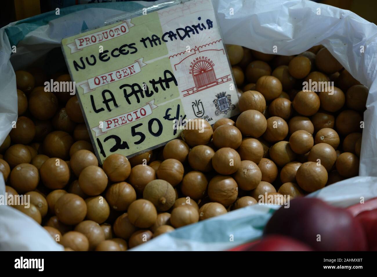 Macadania nuts, La Palma origin, Canary islands, Spain, many fresh ripe ...