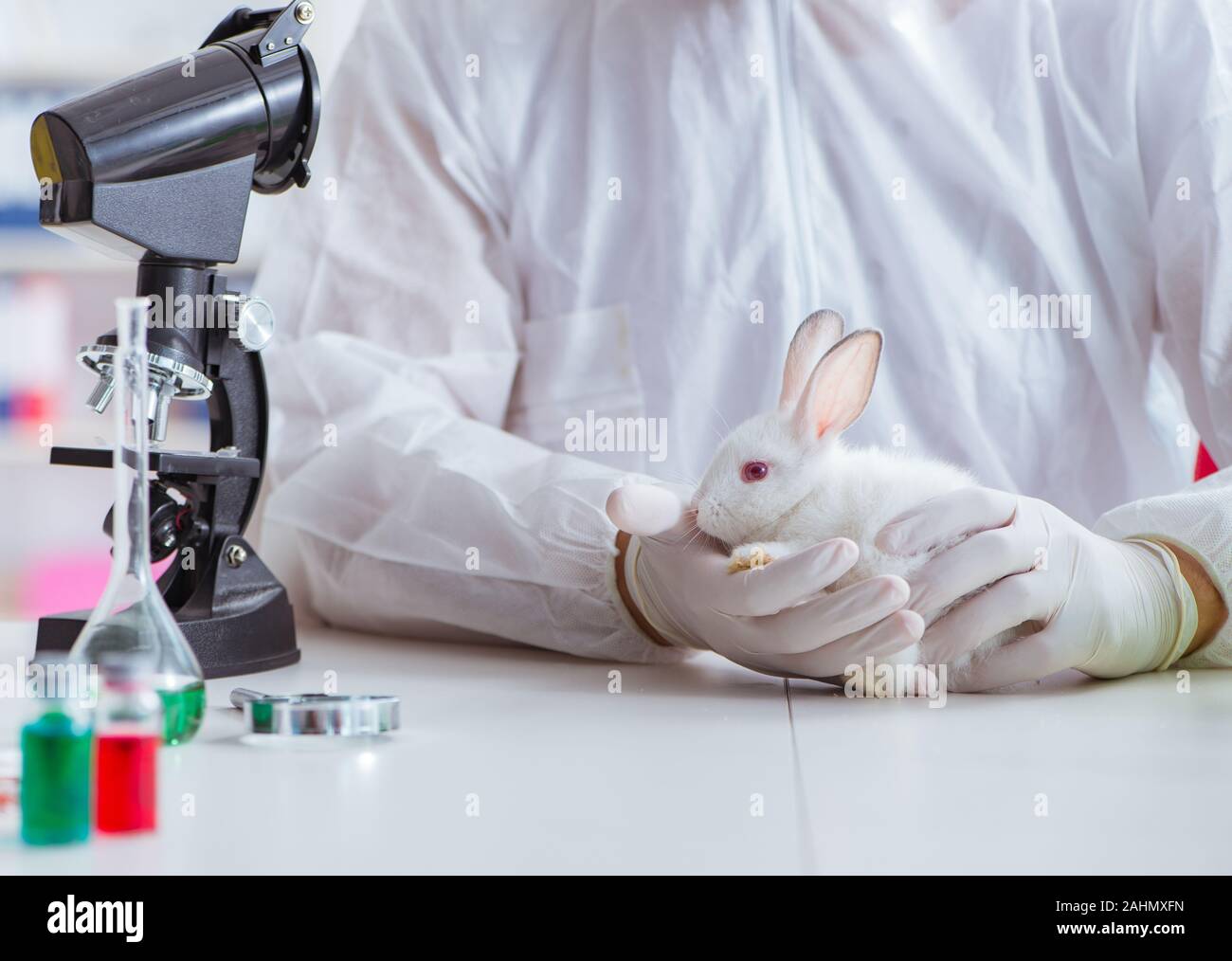 The white rabbit in scientific lab experiment Stock Photo - Alamy