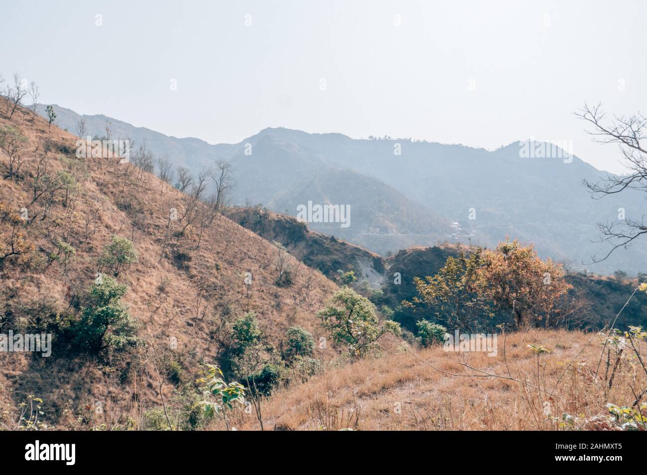 Old temple rishikesh india hi-res stock photography and images - Alamy