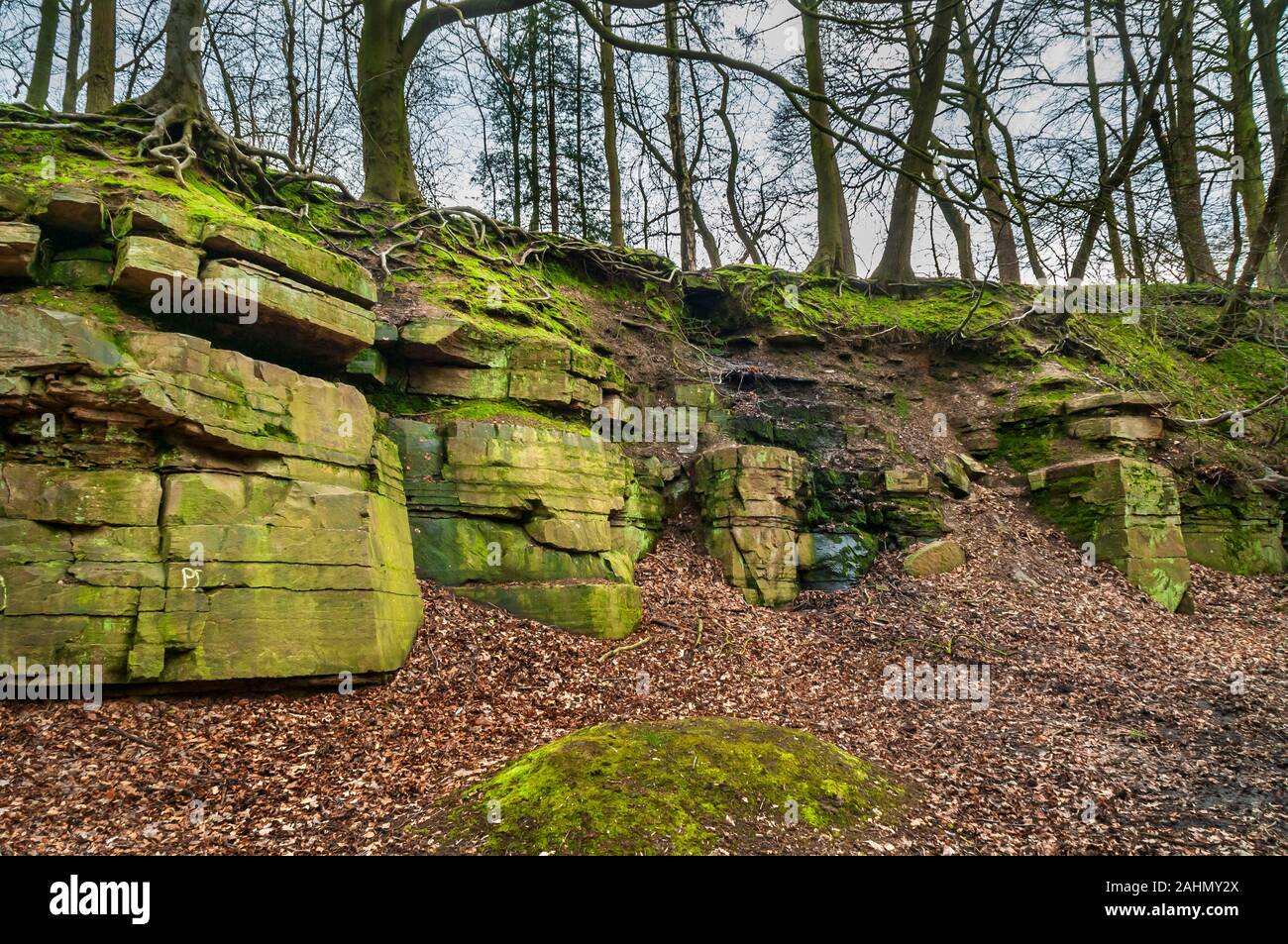 Old sandstone quarry in Cobnar Wood, now part of Graves Park, Sheffield ...