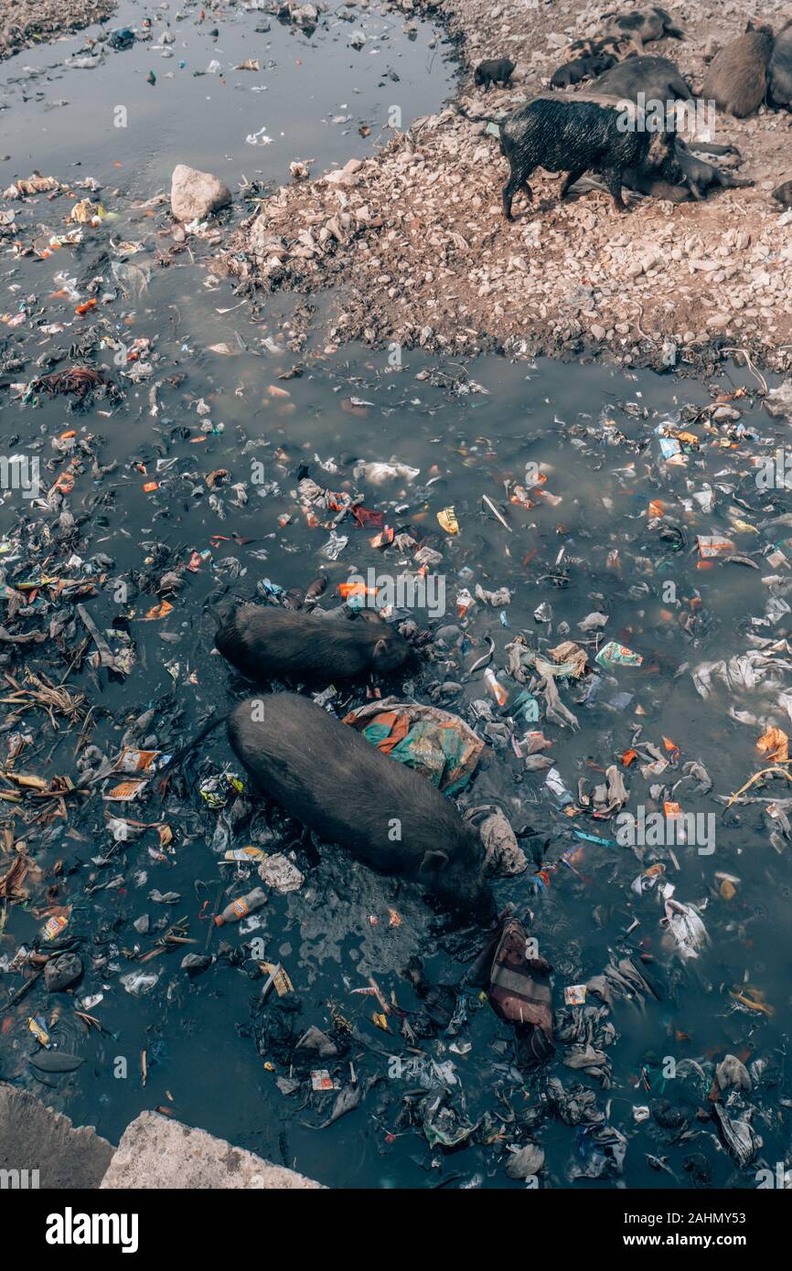 Plastic pollution india hi-res stock photography and images - Alamy
